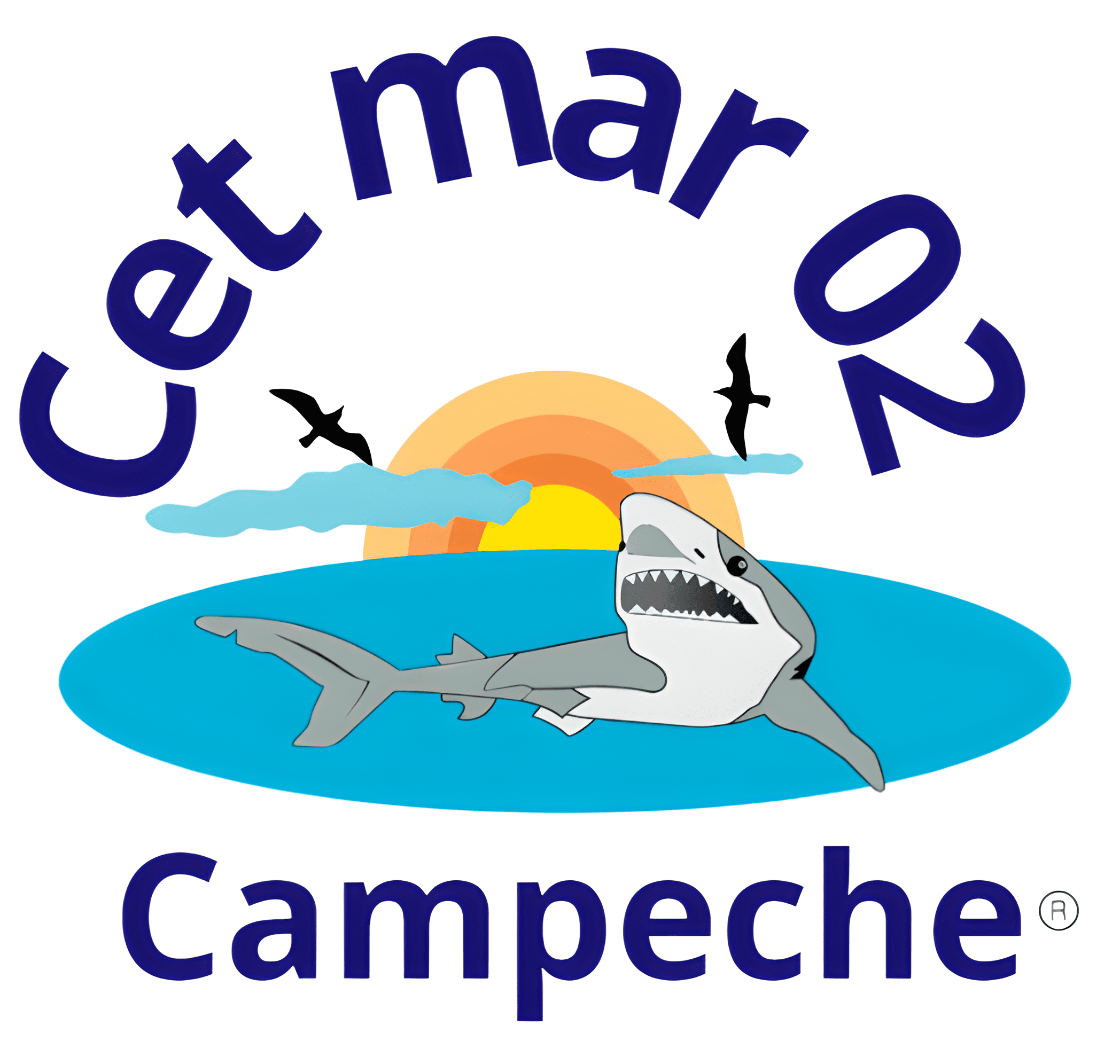 Nosotros | CETMAR 02